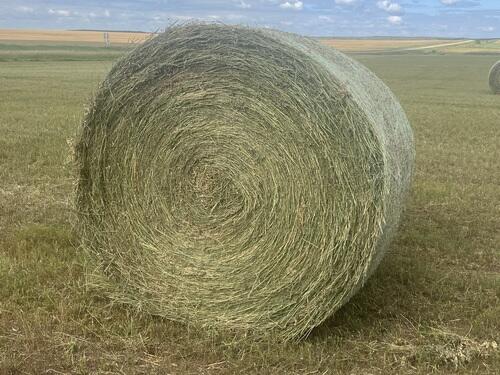 Oats hay. | Dodge, ND