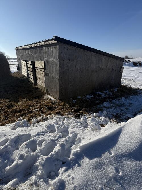 Calf shelters call for more information | Washburn, ND