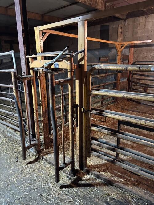 Sioux calving pen,10x10 with self catch head gate, gates that open up ...