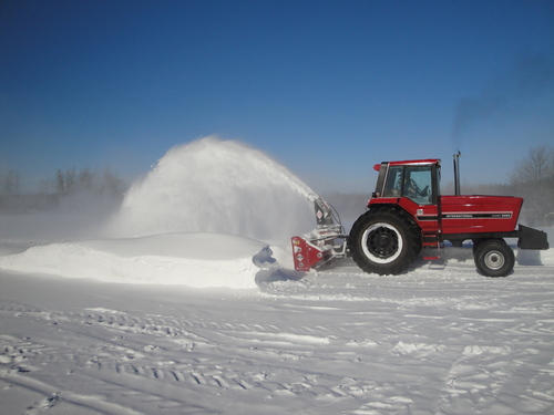 plowboy - Profile on BisManOnline