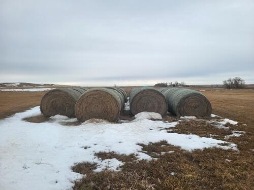 HAY FOR SALE: 120 bales of alfalfa/brome @ $52/bale and 30 bales of ...