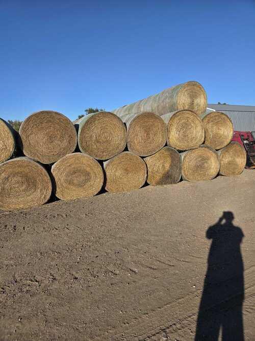 Mixed Alfafa grass bales approximately 1400# very nice no rain. Can ...
