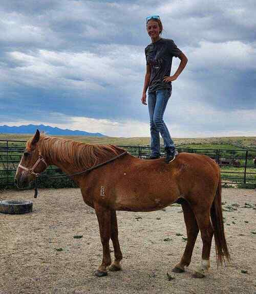 Good kids horse laid back and any kid can ride him. He will let you ...