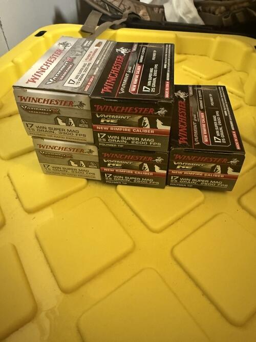 17 wsm ammo | Dodge, ND