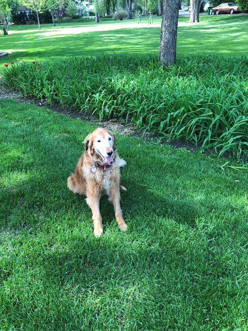 Brian - Profile on BisManOnline