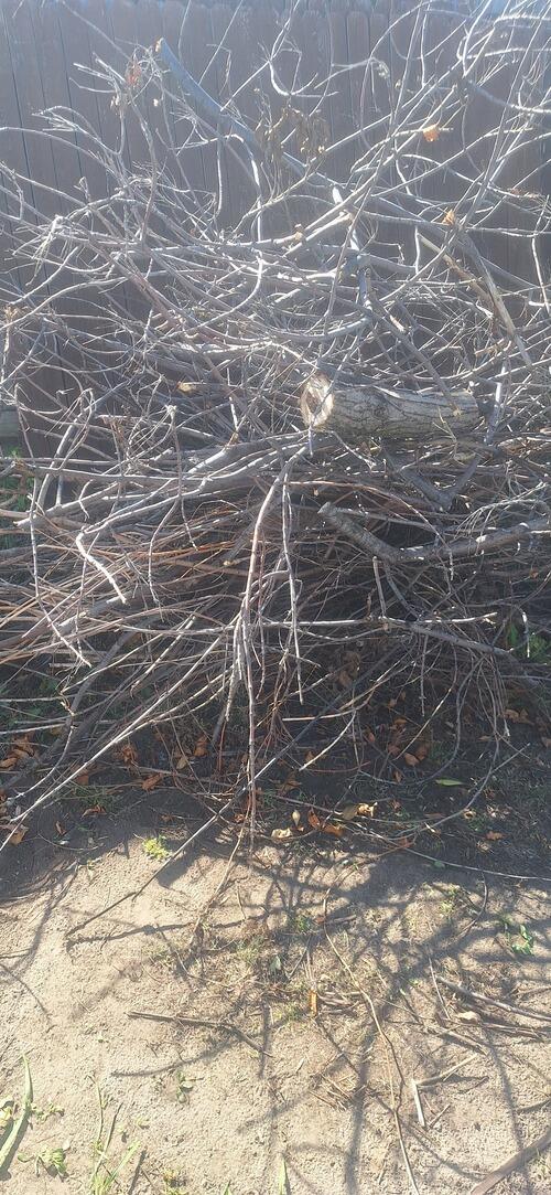 Tree branches for fire pit | Bismarck, ND