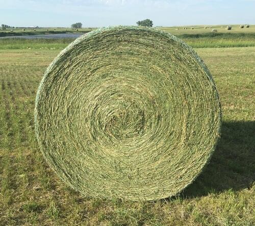 Nice 2024 Alfalfa/Grass Hay - Round Bales - Delivery available | Ryder, ND
