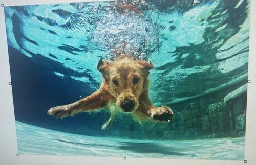 LANDSCAPE PROJECT MANAGER | Bismarck, ND