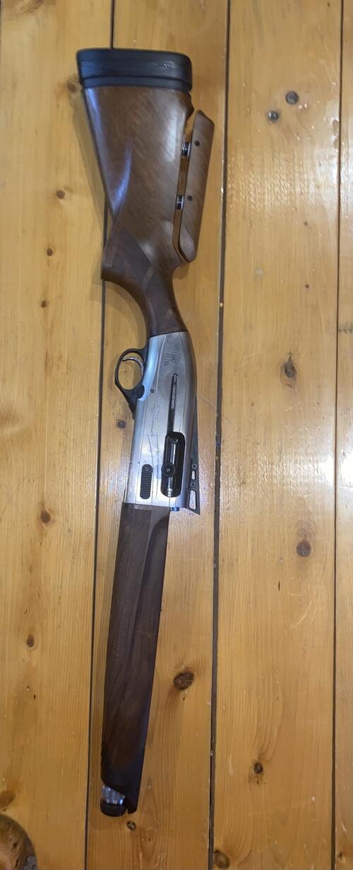 Beretta A400 multi target | Berthold, ND