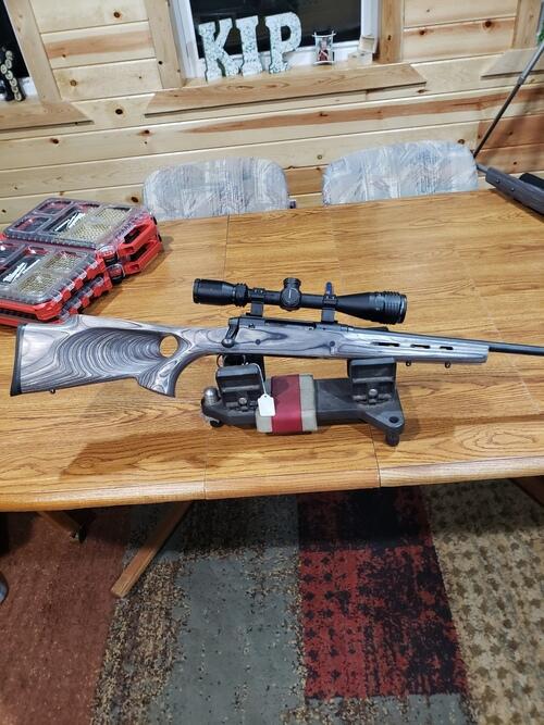 Savage edge 223 rem 2 clips boyds stock center point 4x16x4 scope $800 ...