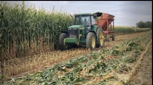 2015 Dion F41 corn chopper with a F61 head, dump wagon available as a ...