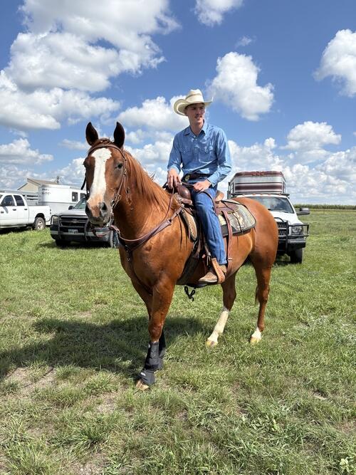 *Blaze AKA Shining Sixes -AQHA Sorrel Gelding* | Venturia, ND