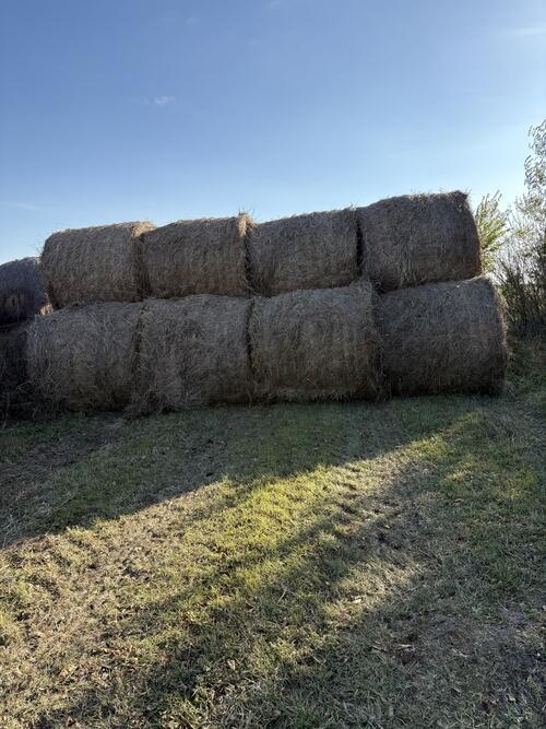 150 2025 hay bails for sale | Cando, ND