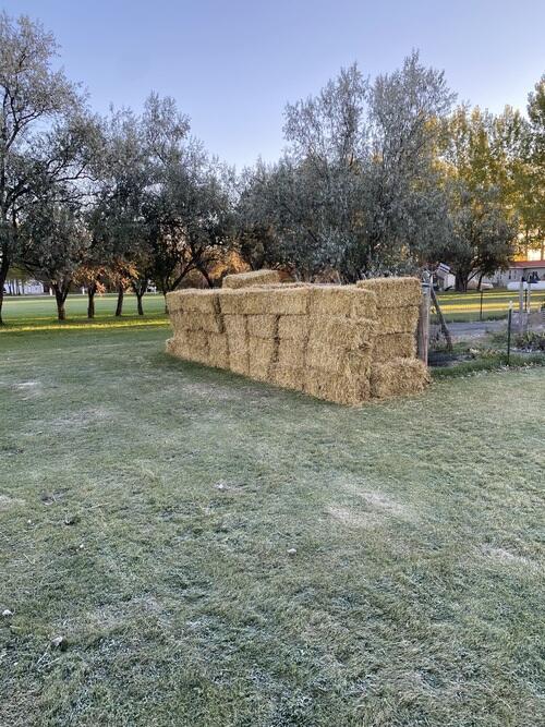 We have around 180 barley straw square bales for sale $3 a piece ...