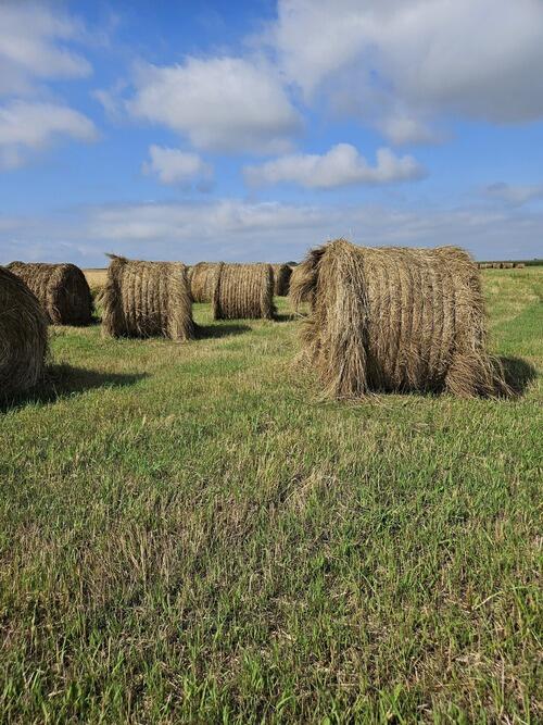 200 5x6 Prarie hay bales twine wrapped average 1600lbs cut and baled in ...