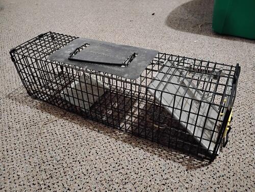 Gopher trap | Thief River Falls, MN