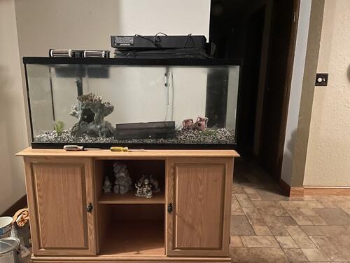 60 Gallon Fish Aquarium | Bismarck, ND