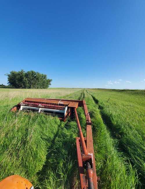 Omc 229 hay conditioner, it's a 10ft haybine, I have replaced some of ...