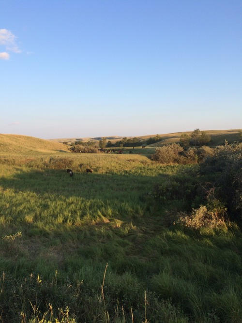 Ferguson Ranch - Profile on BisManOnline