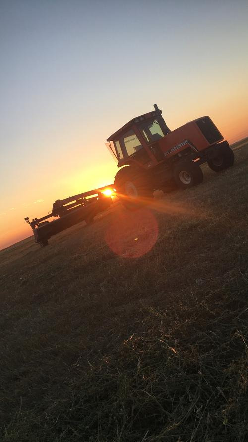 Brian - Profile on BisManOnline