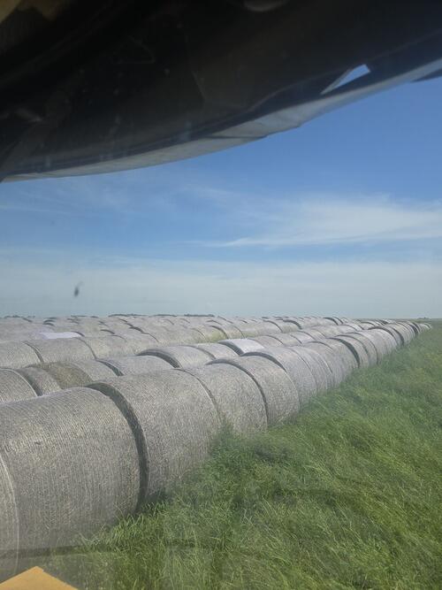Hay for sale, 500 bales 2024 hay, 60 per ton, 1000 bales 2025 hay, 80 ...
